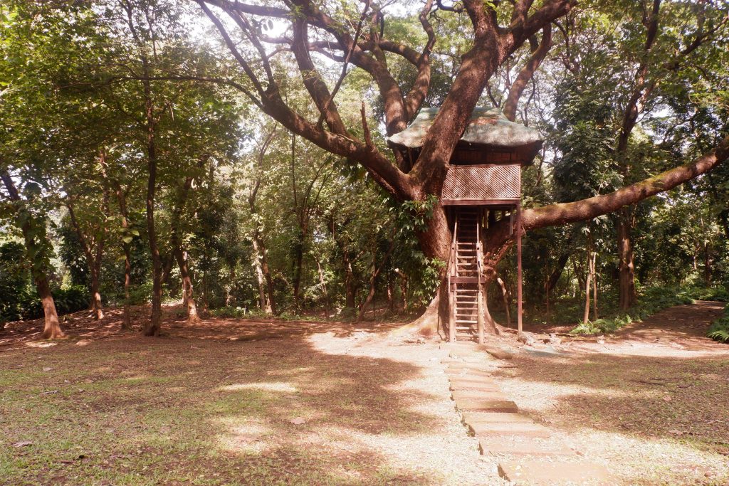 Facilities - Sacred Heart