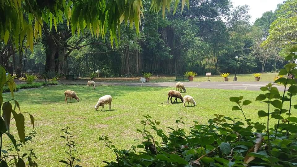 Facilities - Sacred Heart